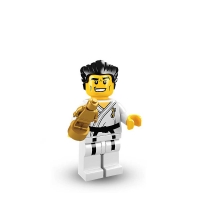 LEGO MINIFIGURES Series 2 Karate Master | Popitoi